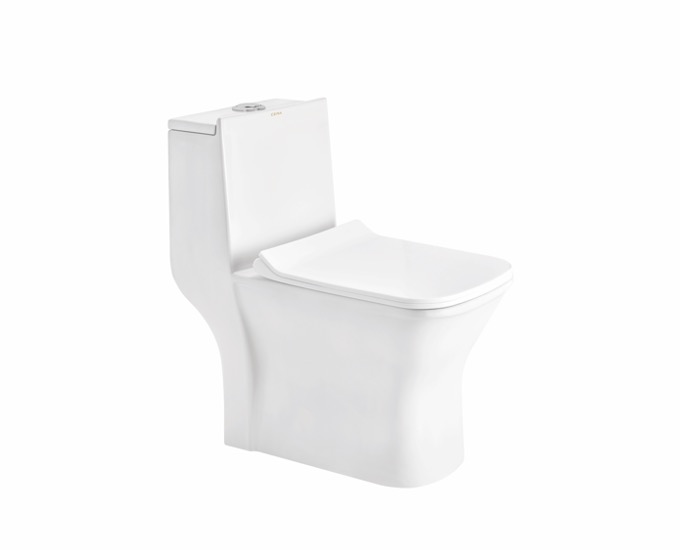 Buy CERA Capaciti One-piece EWCs Online at Best Prices